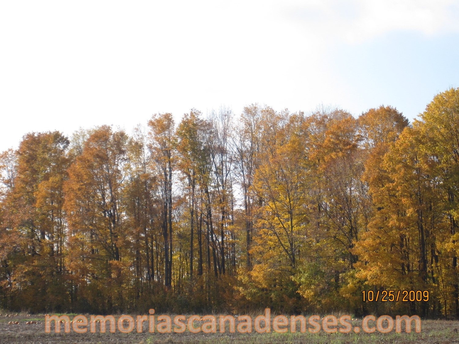 Fall-07-2009 – Memórias Canadenses